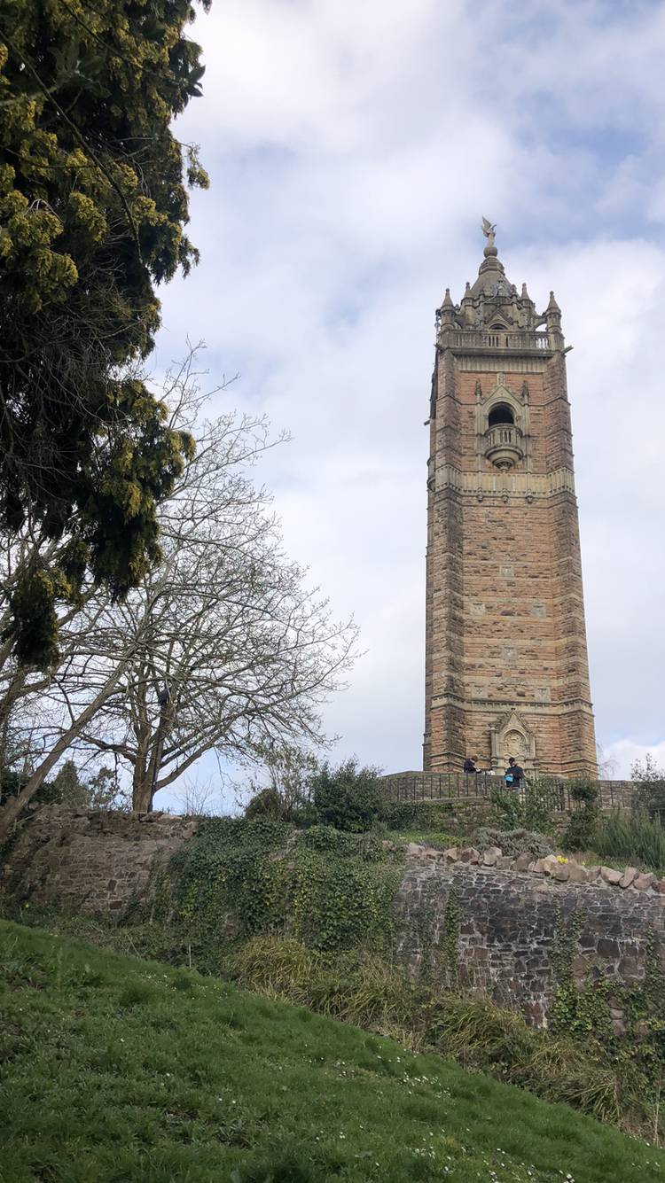 Changes Bristol's Brandon Tower Nature - Bristol Walk Fest