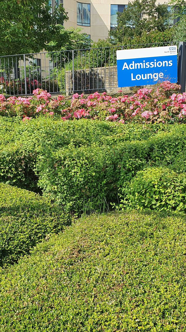 NHS Perimeter Plod - Bristol Walk Fest